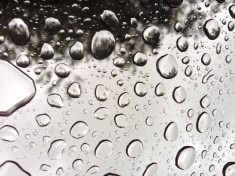 Saltwater Delivery Simplified: Make A Beautiful Aquarium Easily - Reef ...